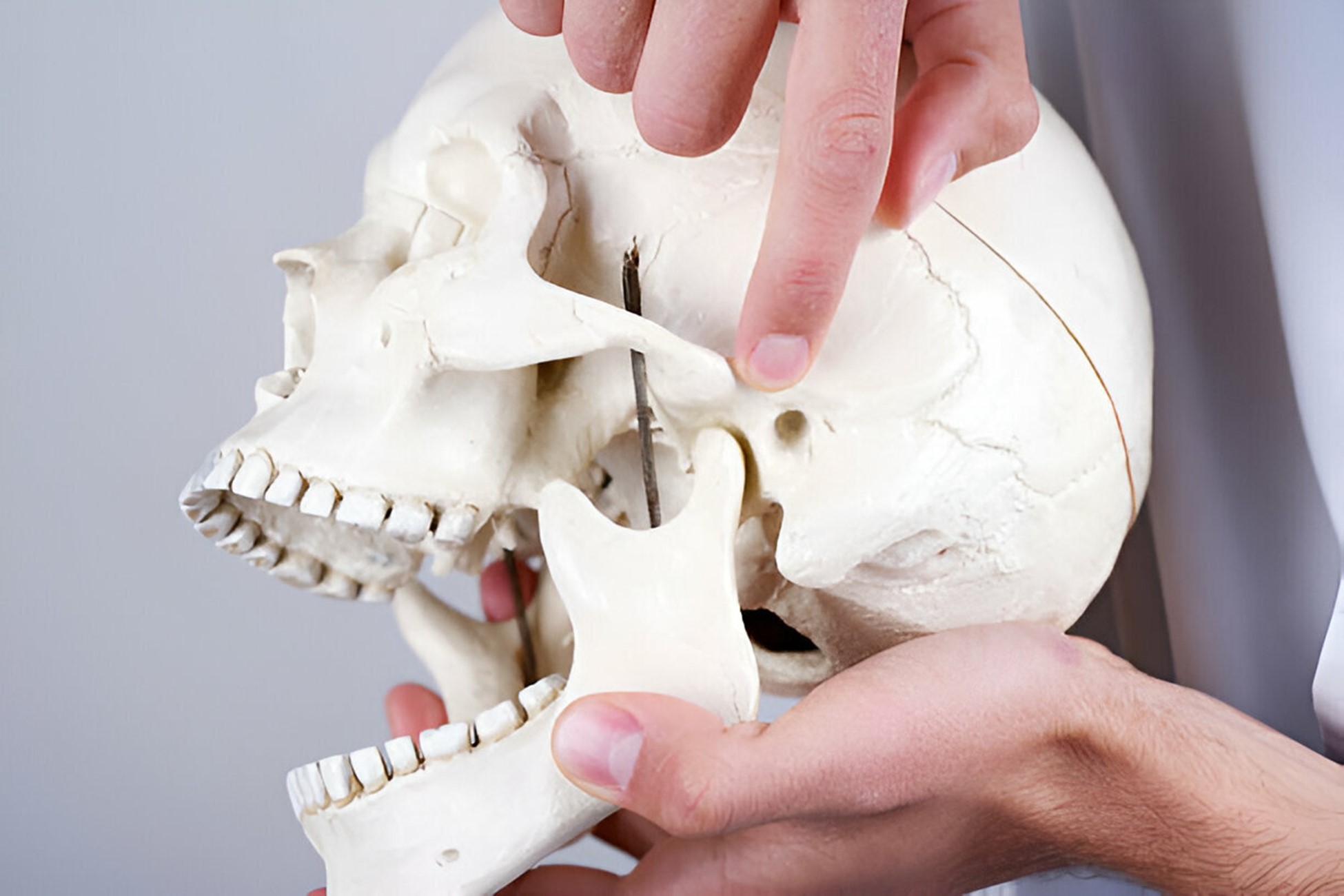 Chiropractic Care for TMJ Pain: A Natural, Non-Invasive Approach ...